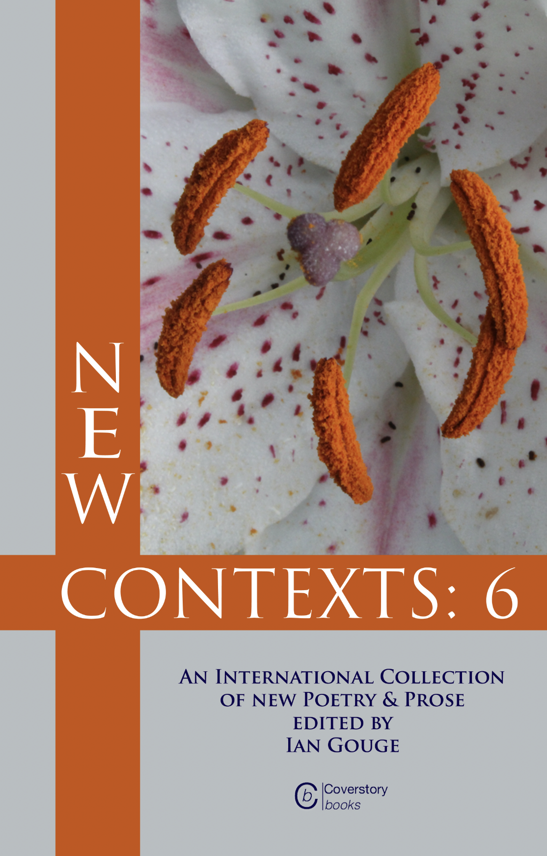“New Contexts: 6” – an anthology – Coverstory Books – Ian Gouge, Publisher